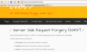 Server Side Request Forgery (SSRF) - Network Intelligence
